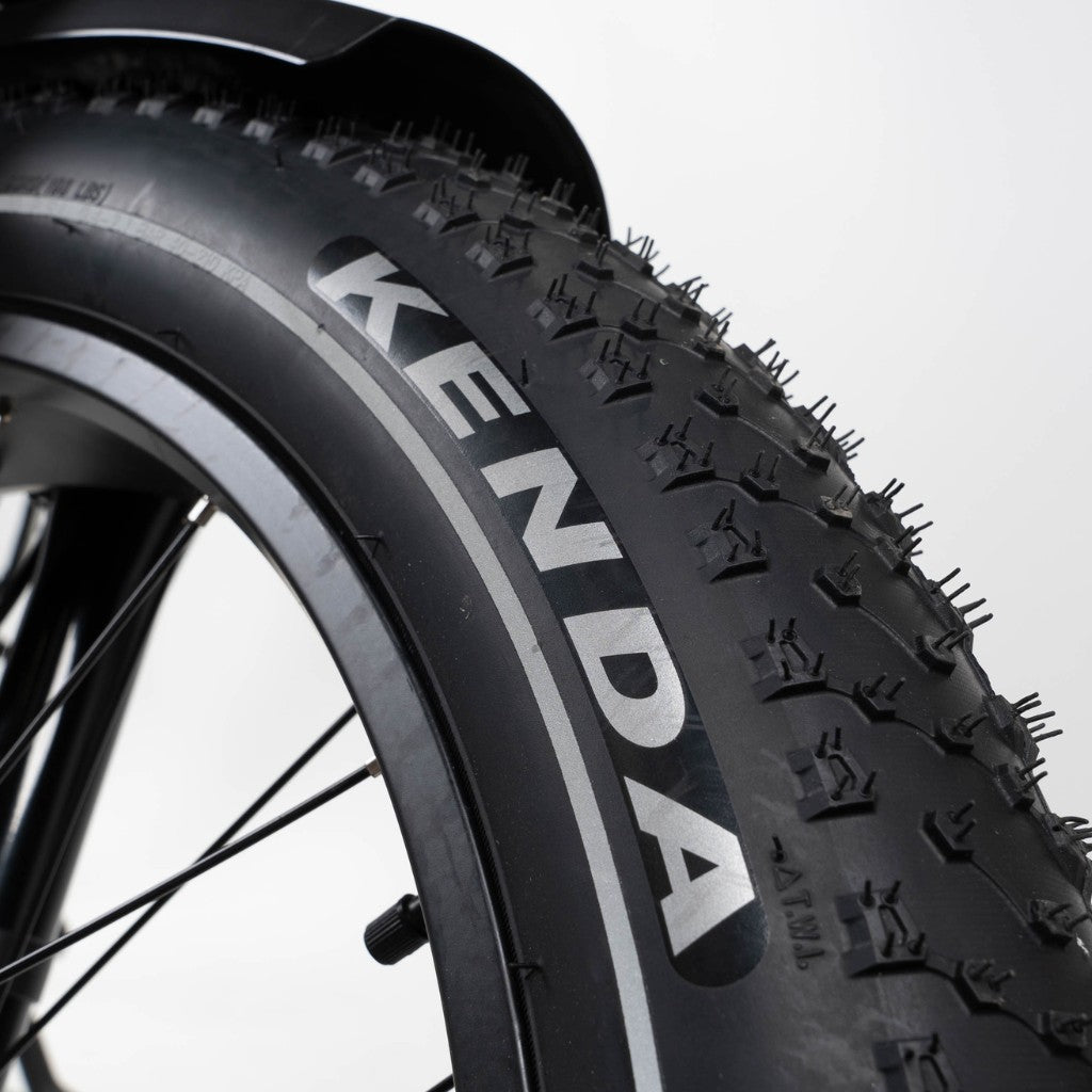 FAT BIKE 26x4" – NIEF EBIKE ITALIA